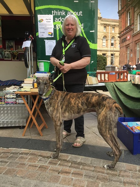 Buzz Gallery - Monmore Green Retired Greyhound Trust